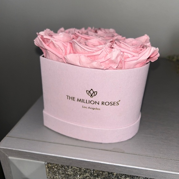 the million roses | Other | The Million Roses Pink Box Of Preserved ...